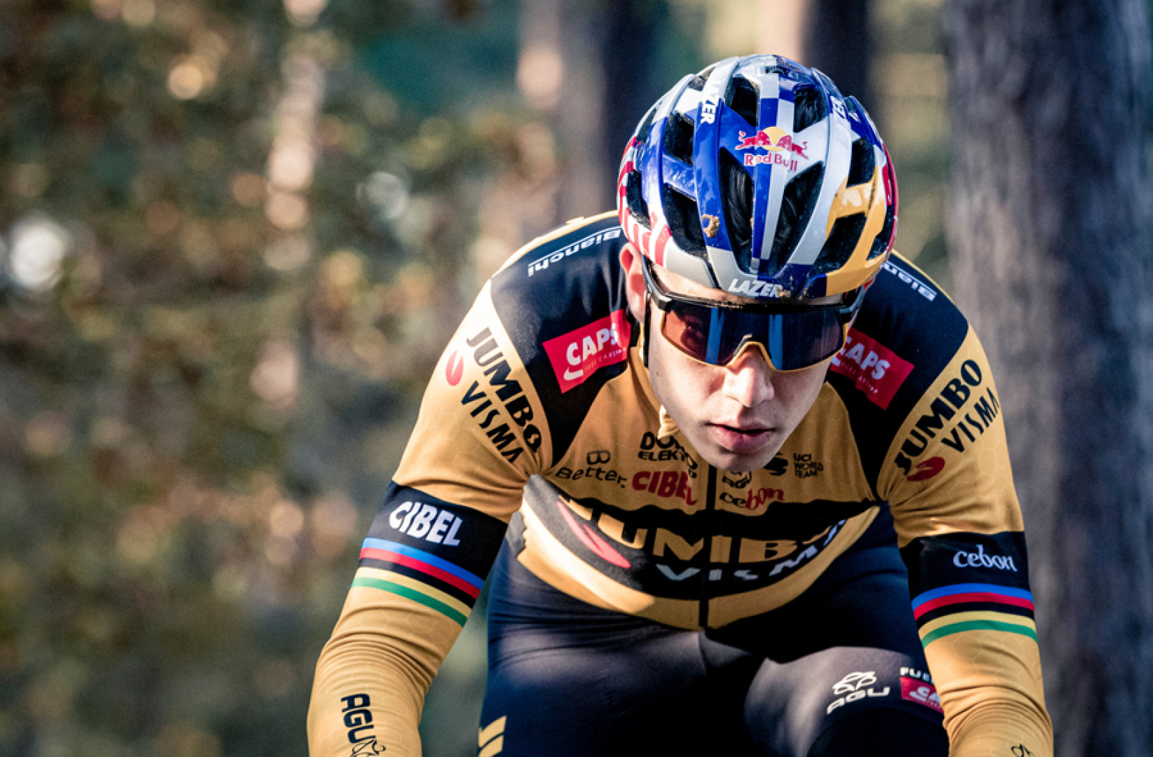 "I HAVE TWO BIG GOALS THIS WINTER" - WOUT VAN AERT RETURNS ...
